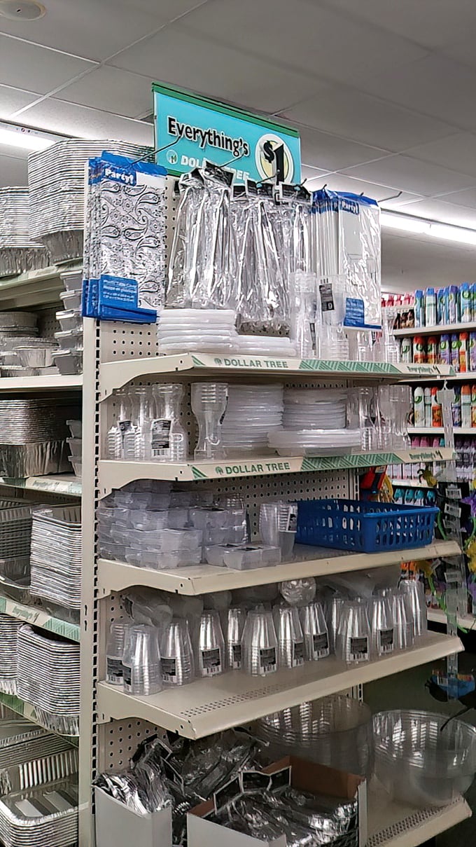 The "Everything's $1" sign hovers above plastic paradise. Future dinner parties just got more economically responsible.