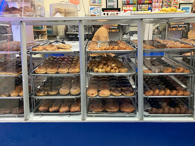 Rows upon rows of perfectly arranged donuts&mdash;like a delicious army standing at attention, ready to march straight into your heart (and arteries).