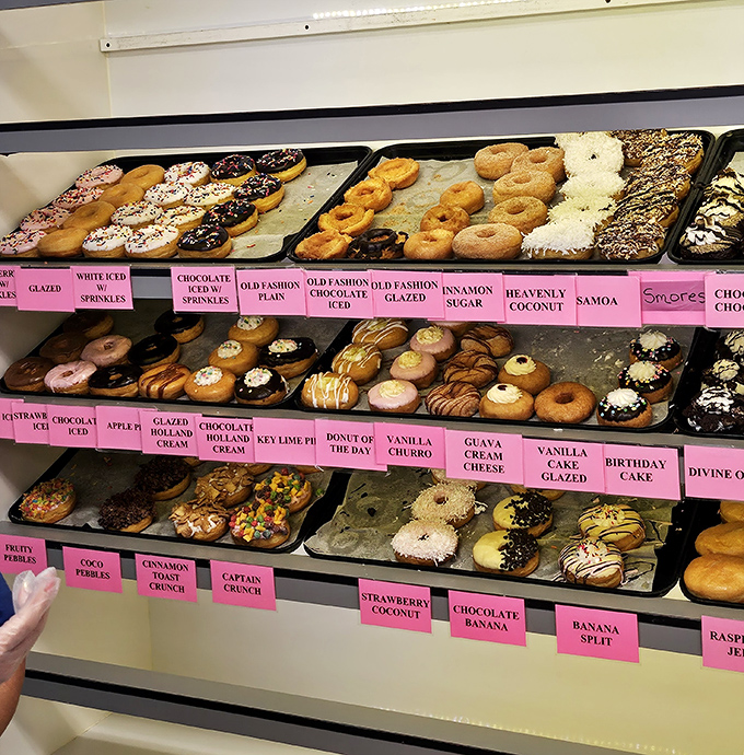 The display case &ndash; a museum of fried dough possibilities that makes choosing just one feel like Sophie's Choice: Donut Edition.