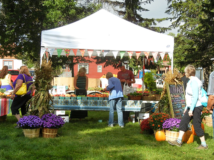 Ely's Harvest Moon Festival transforms lawns into marketplaces, where local bounty celebrates the brief but glorious northern growing season.