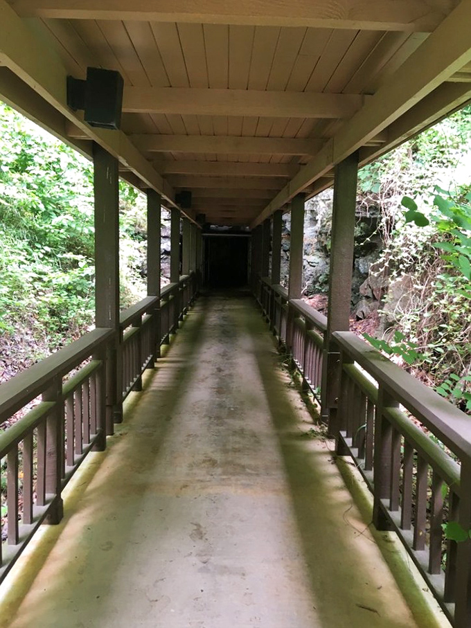 The transition zone: where the underground world meets daylight. Like walking through a portal between two completely different realities.