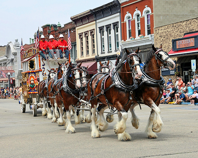 The Big Top Parade brings circus heritage to life with magnificent Clydesdales pulling ornate wagons through downtown. No elephant jokes, I promise.