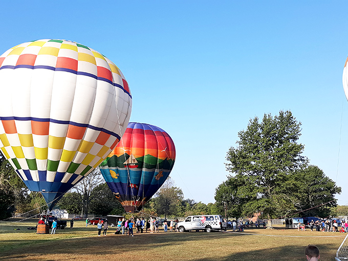 Hot air balloons transform Berea's skyline into a floating rainbow, drawing crowds who gather to witness these gentle giants take flight.