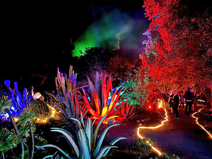 The Festival of Lights transforms gardens into something between Alice's Wonderland and a psychedelic dream sequence.