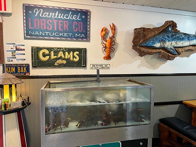 The live tank display proves Dan's commitment to freshness while giving you a chance to make eye contact with dinner in a way that's both awkward and reassuring.