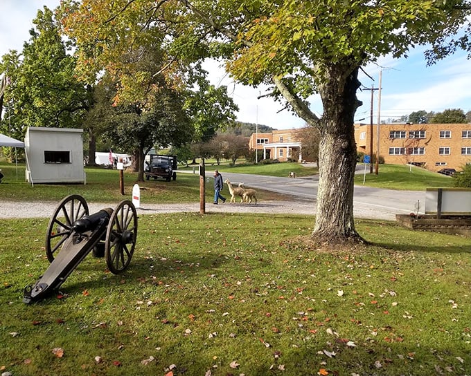 A cannon rests on the museum grounds, a silent reminder of history's weight. Even the trees here seem to stand a little straighter.