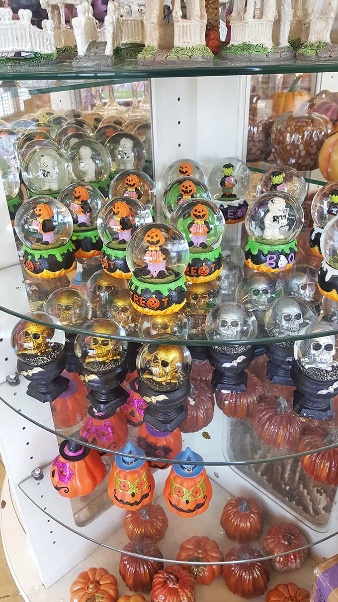 Halloween snow globes and skull figurines prove that even the afterlife can be affordable with the right shopping strategy.