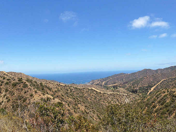 The Hermit Gulch Trail promises 1.7 miles of spectacular views and heavy breathing—mostly yours as you climb toward panoramic vistas of the Pacific.