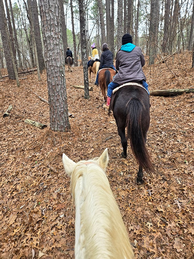 Horseback riding through autumn-kissed forests&mdash;when "horsepower" takes on its most literal and magical meaning. The view between those equine ears is pure Tennessee poetry.