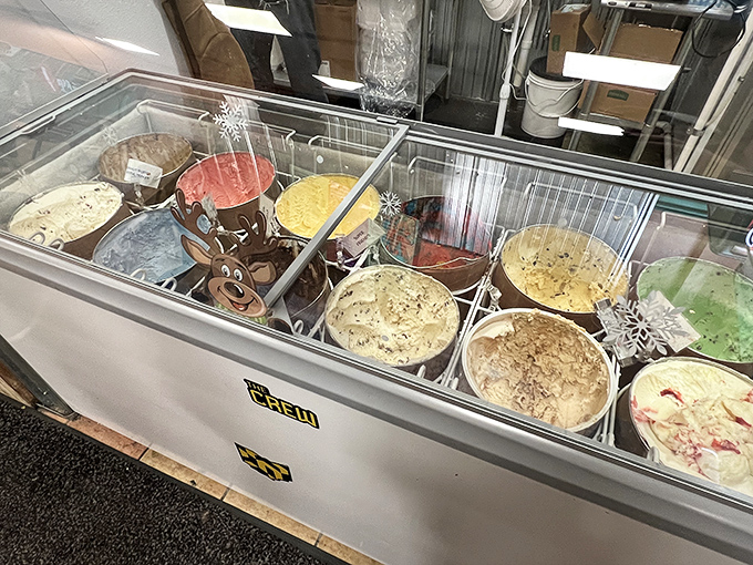 A freezer case of frozen dreams, where ice cream flavors line up like contestants in a deliciousness pageant. Everyone's a winner here.