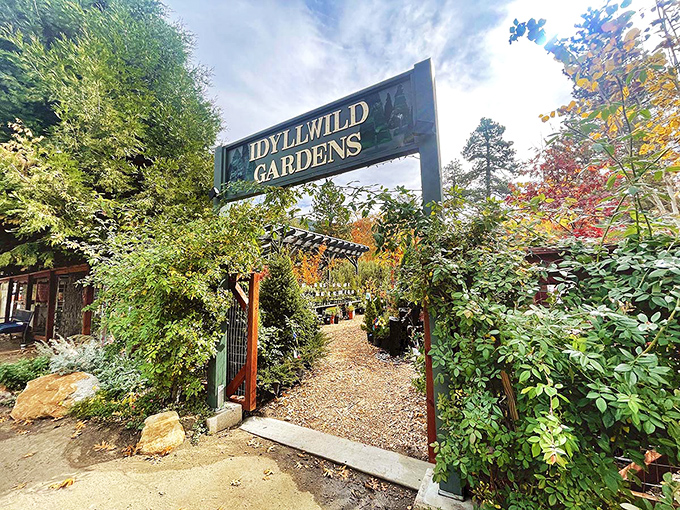 Idyllwild Gardens welcomes visitors through a portal of greenery that promises botanical treasures and Instagram moments in equal measure.