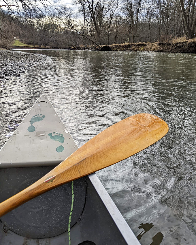 The front-row seat to nature's quiet show. From this vantage point, every ripple tells a story that's been unfolding for thousands of years.
