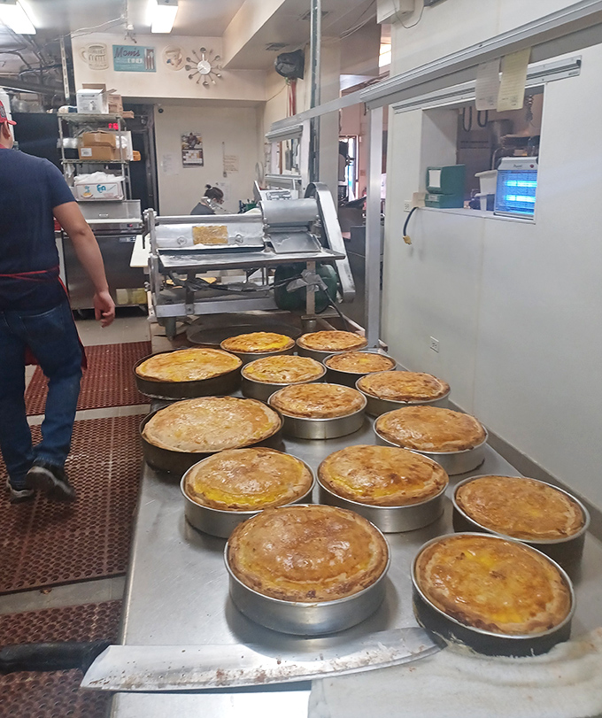 Pizza paradise behind the scenes. Those golden discs of dough are about to make someone's day significantly better.