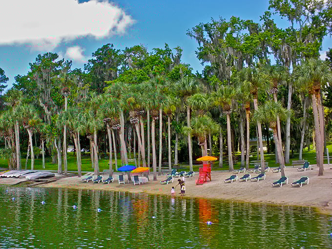 Lake Wauburg's palm-lined shores offer a quintessential Florida oasis, where green waters reflect blue skies and lounge chairs await beneath natural umbrellas. 