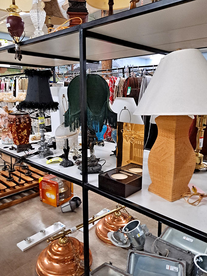 A lighting department that proves one person's outdated lamp is another's "vintage-inspired designer piece" waiting to happen.