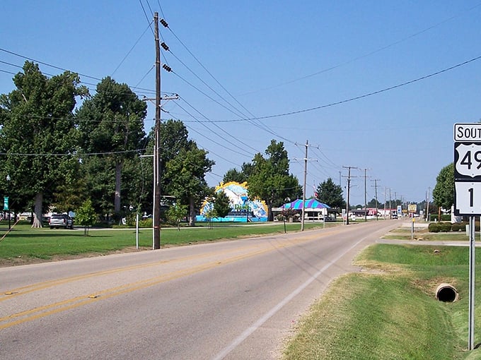 Highway 49 stretches toward the horizon, a ribbon of asphalt connecting Rector to the wider world while keeping its small-town heart intact.