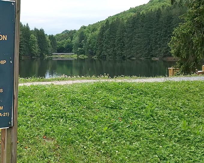 Serene lakes surrounded by Pennsylvania's lush forests offer Bradford residents natural beauty that would cost millions elsewhere.