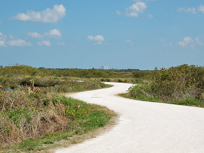 The road to Merritt Island Wildlife Refuge might be winding, but the destination promises wild encounters without wild admission fees. 