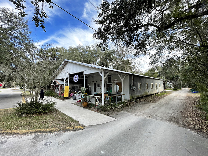 Outdoor dining under Spanish moss&mdash;where the ambiance doesn't come from an interior designer but from centuries of perfect natural staging. 