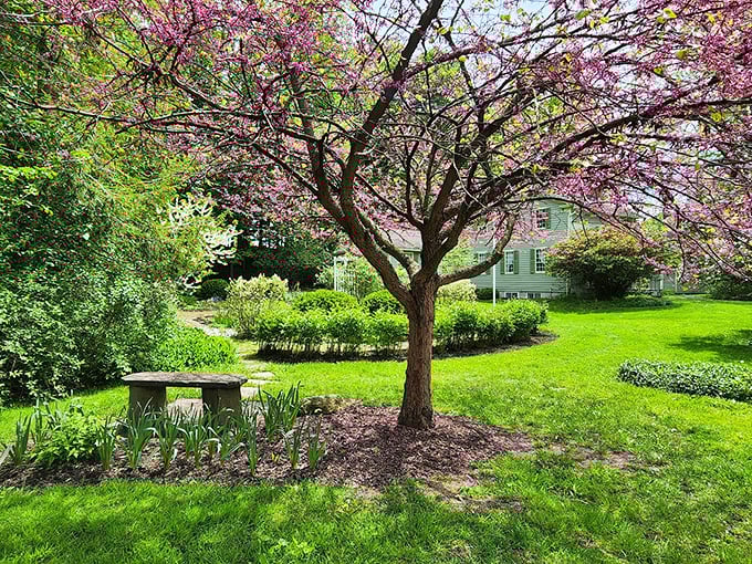Spring blossoms frame historic architecture in a scene so perfectly composed it could make a jigsaw puzzle designer weep with joy.