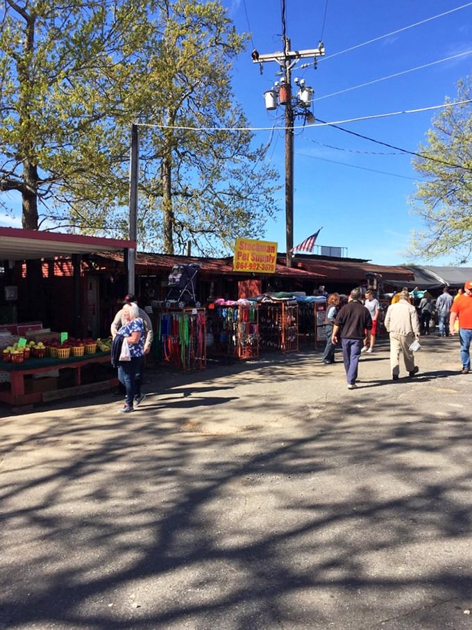 The outdoor vendor area buzzes with activity under the watchful eye of tall pines, where pet supplies and everyday necessities share space with unexpected treasures.