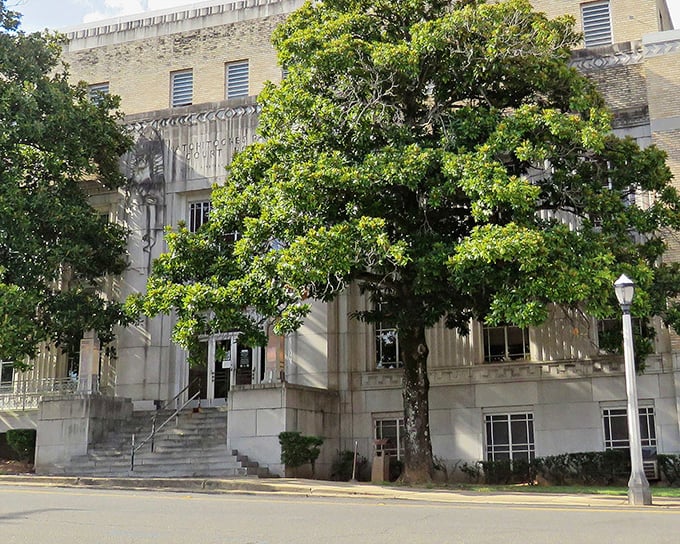 Stately trees frame this courthouse like nature's own columns, offering shade to generations of citizens coming to settle their affairs.
