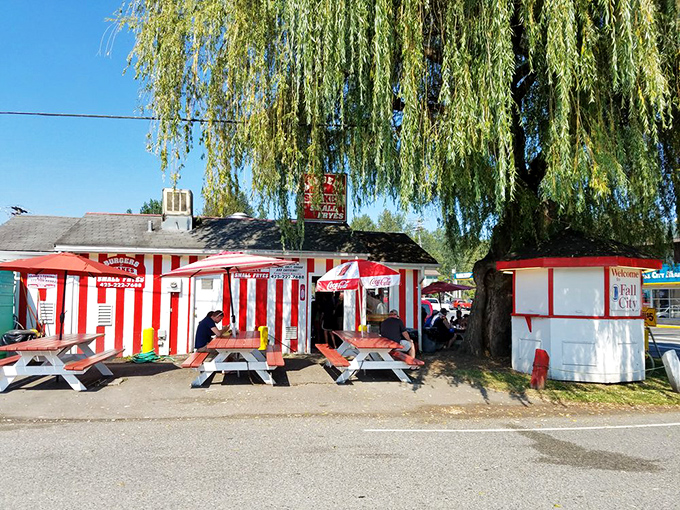 The outdoor seating area feels like a community gathering spot, where the shade of that magnificent willow tree is as welcoming as the food.