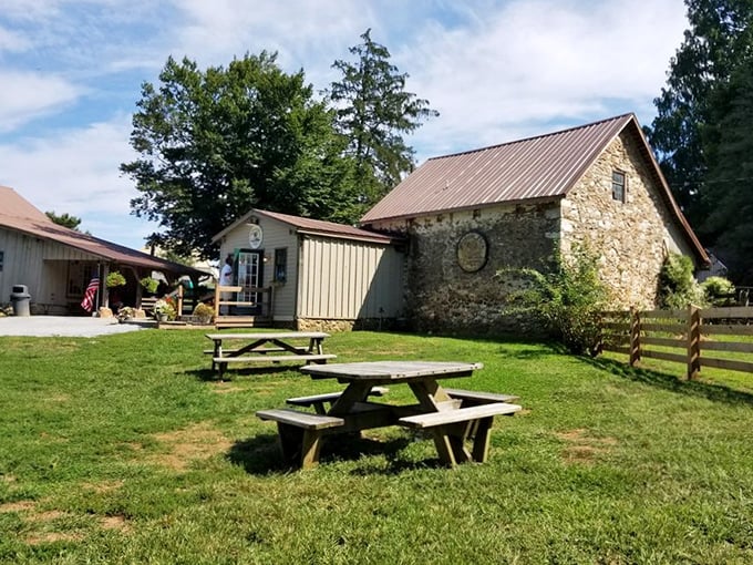 The ideal backdrop for ice cream consumption. Picnic tables under open skies where the only acceptable brain freeze is the self-inflicted kind.