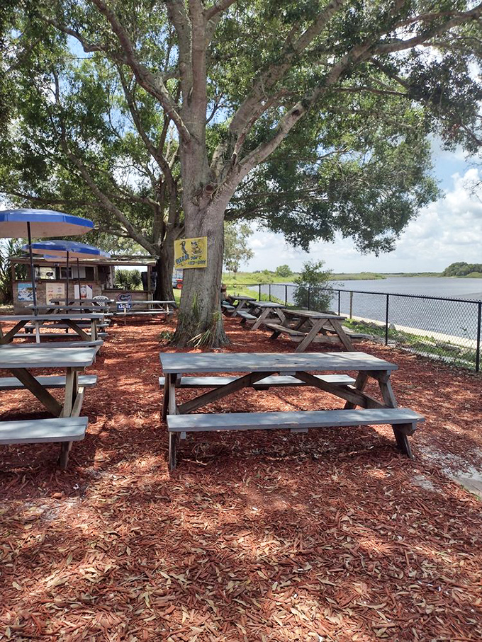 Nature provides the ambiance under this sprawling oak, where picnic tables and mulch create the perfect setting for post-meal contemplation.