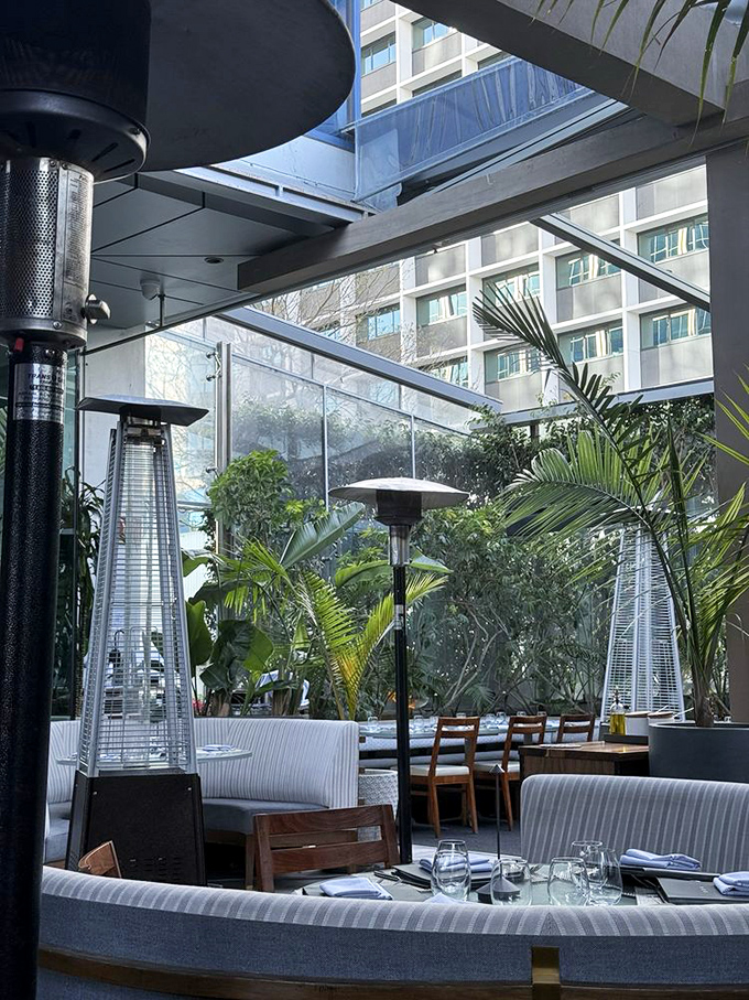 The airy patio brings the outside in with lush greenery and natural light, offering a refreshing California dining experience year-round.