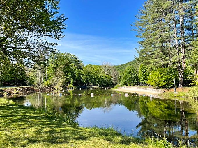 A serene pond mirrors the surrounding landscape so perfectly you might need to look twice to determine which way is up.