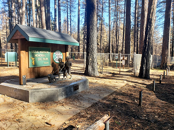 Even four-legged friends find their paradise here. The dog park's towering pines provide the ultimate canine playground.