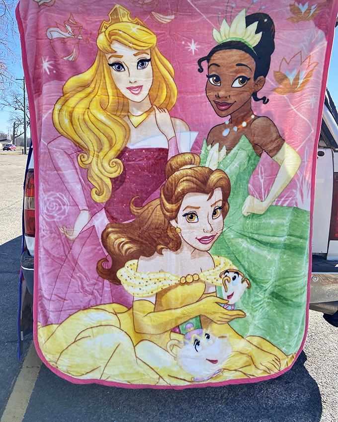 Disney princesses never go out of style. This blanket promises magical dreams&mdash;or at least warmth during those chilly Missouri evenings.