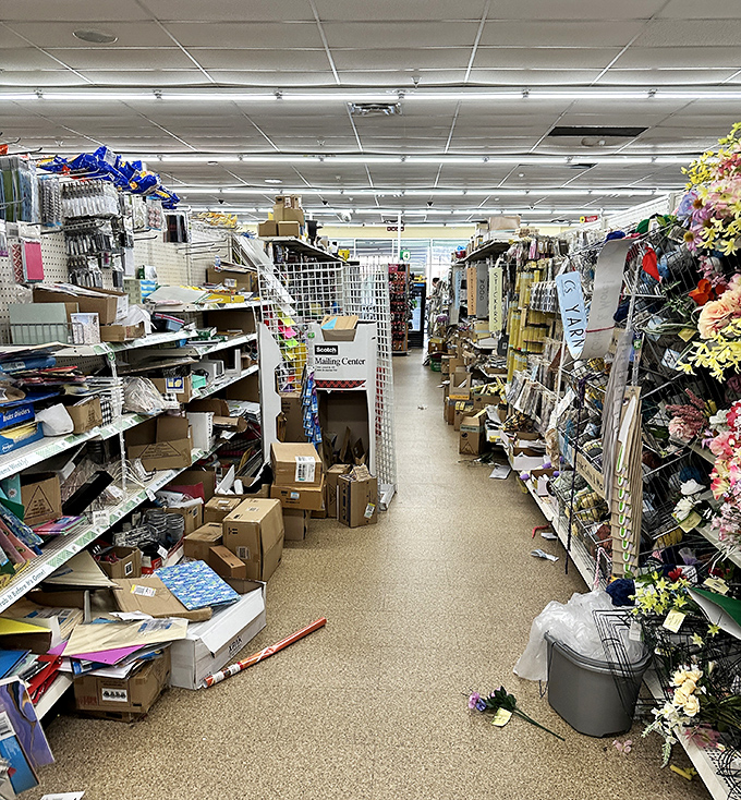 Treasure hunting in progress! The craft and stationery aisle at Dollar Tree offers a glimpse into the organized chaos that makes bargain shopping so thrilling.