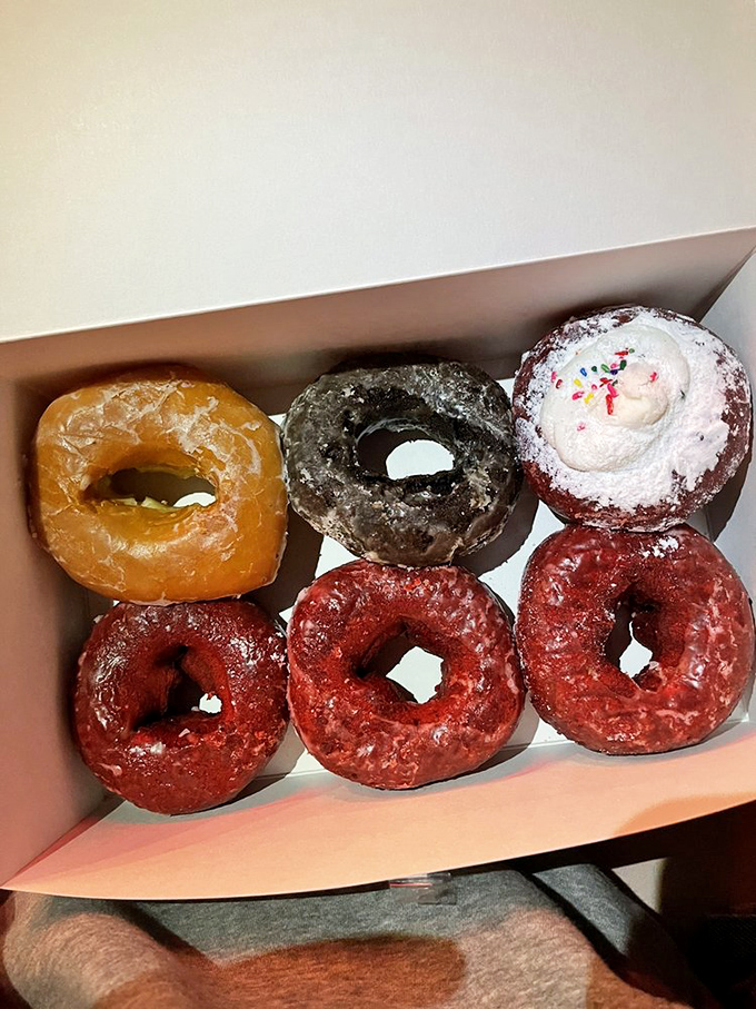 A colorful sextet of donut diplomats. The red velvet varieties bring a touch of Southern charm to Pennsylvania's breakfast scene.
