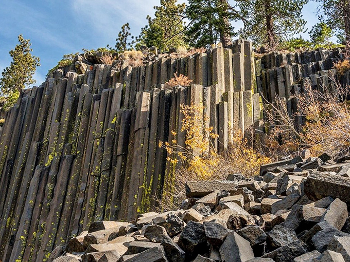 Geological masterpiece: The columnar basalt at Devils Postpile looks like nature's pipe organ, each column perfectly fitted to its neighbors over thousands of years.