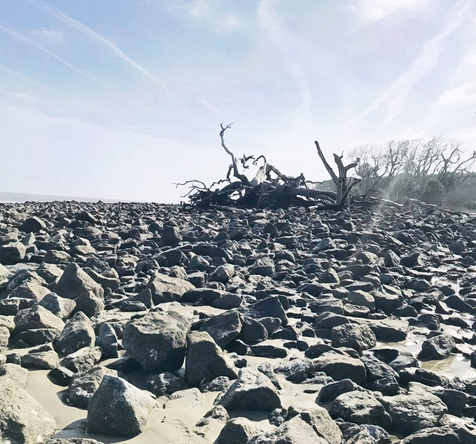 Beyond the sand lies a rugged terrain of rocks and driftwood &ndash; a reminder of nature's constant reshaping of this dynamic shoreline.