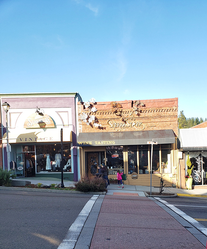 Local vintners craft exceptional wines in tasting rooms that blend Sierra foothills tradition with contemporary sophistication.
