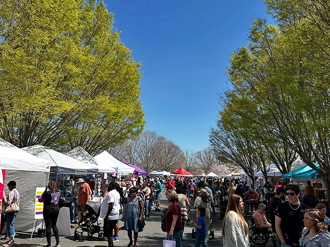 A festival where people actually talk to strangers instead of just bumping into them. Spring in Conyers brings out vendors, visitors, and genuine community spirit.