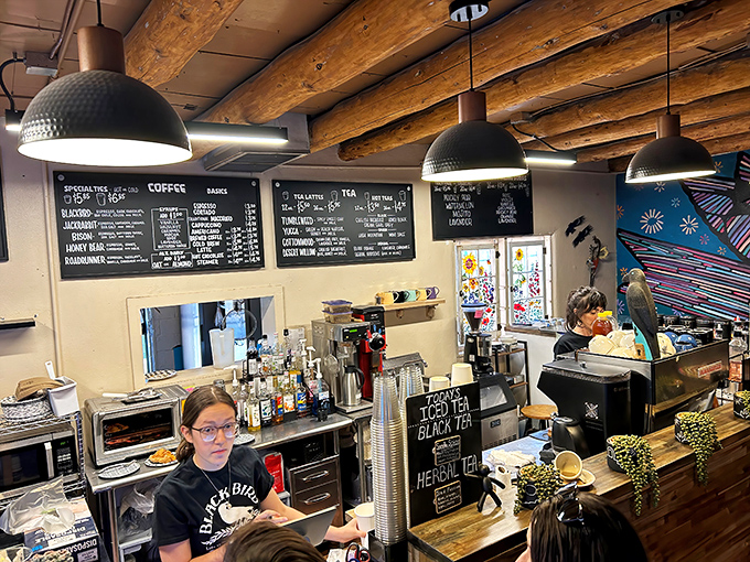 Where the magic happens. Baristas craft liquid happiness behind the counter while menus tempt with possibilities under the glow of pendant lights.
