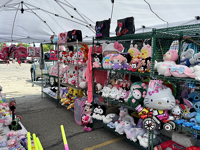 Stuffed animal adoption center! These plush companions, from Hello Kitty to unicorns, patiently wait for someone to take them home and love them forever.