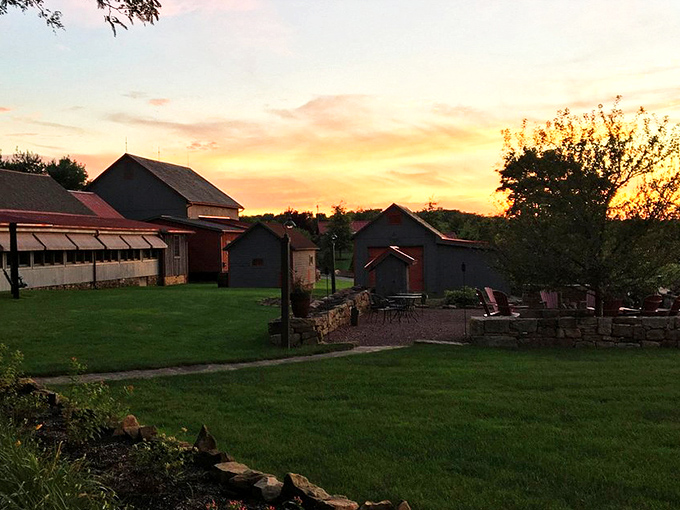 Sunset over the rural landscape paints farm buildings in golden hues. The kind of view that makes you contemplate selling your city condo for country living.