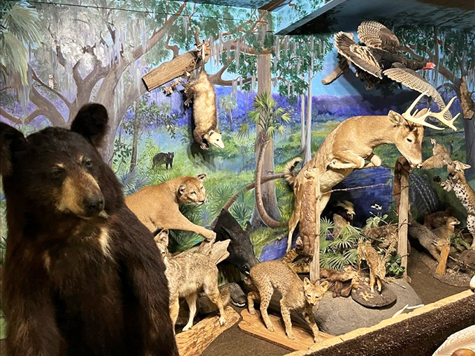 The most Florida diorama ever created. Where else can you dine while a bear, deer, and various predators silently observe?