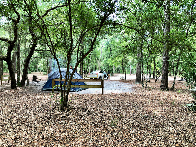 Camping simplified: just you, a tent, and a million stars overhead. These primitive sites offer a digital detox with natural air conditioning.