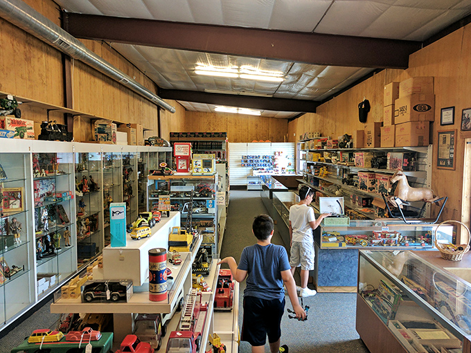 The toy section is where grown men suddenly remember childhood Christmas mornings and reach for their wallets. Nostalgia is the most powerful sales tool.