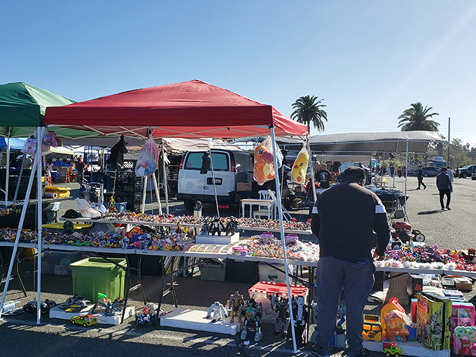 A wonderland of toys, trinkets, and treasures where one person's "Why would anyone buy that?" is another's "I've been looking everywhere for this!"