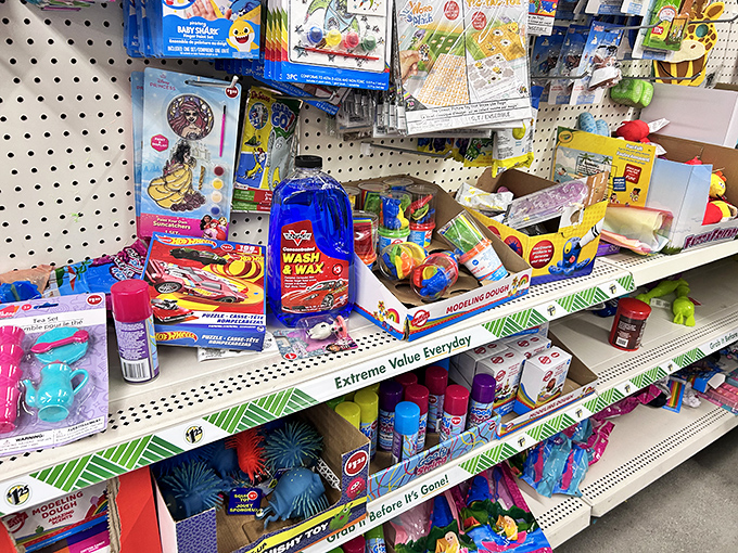 A colorful menagerie of toys where childhood dreams and parental budgets find rare and beautiful harmony.