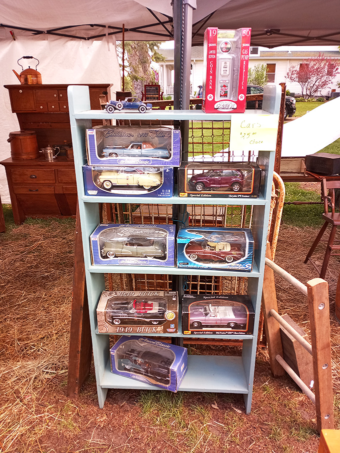 Miniature classic cars line these shelves like dreams parked in a garage, waiting for collectors to take them home.