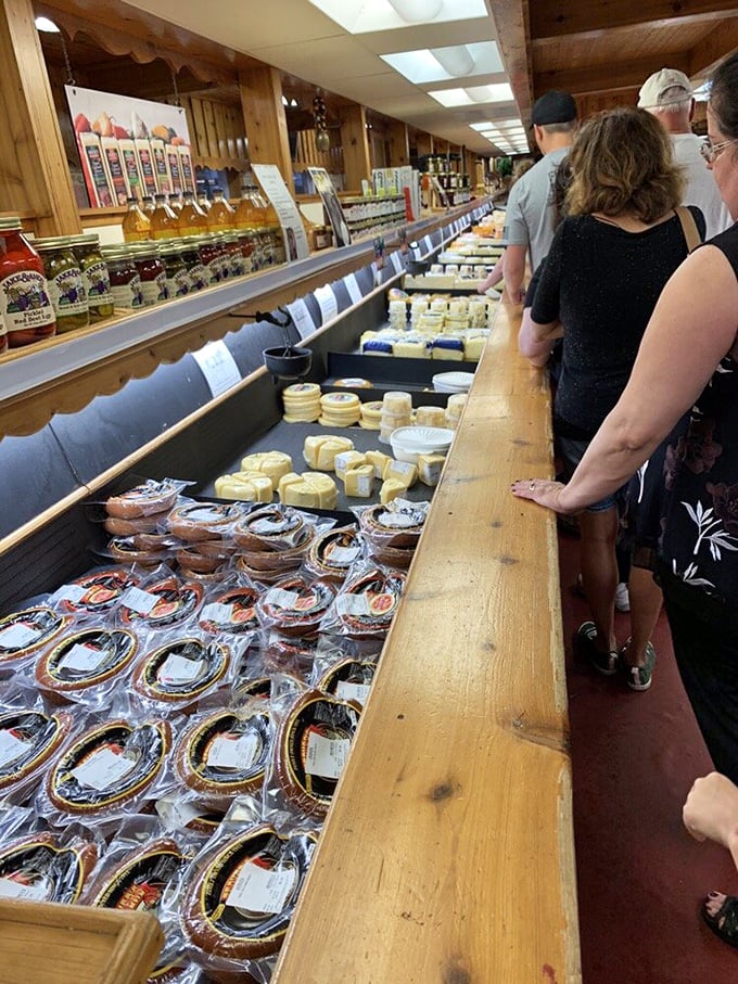 Visitors lean in eagerly at the sampling counter, experiencing that universal "cheese trance" that happens when dairy perfection meets taste buds.