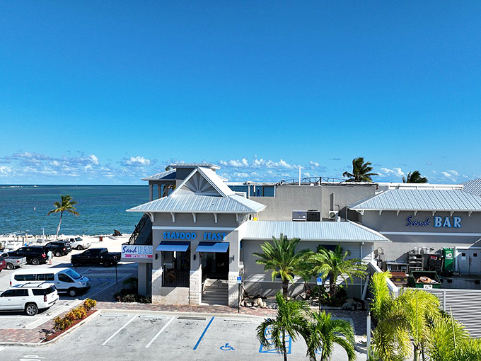 Whale Harbor's panoramic ocean views pair perfectly with seafood. Like a beach vacation for your taste buds, with palm trees included.